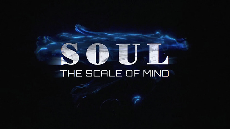 SOUL by Wenzi - usa magic shop